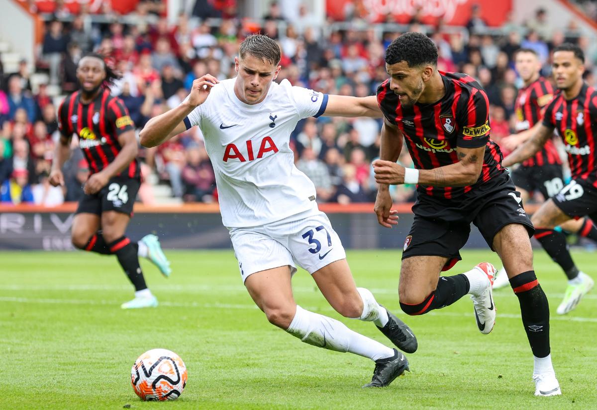 Tottenham signing tipped to 'steady the ship' and improve established star