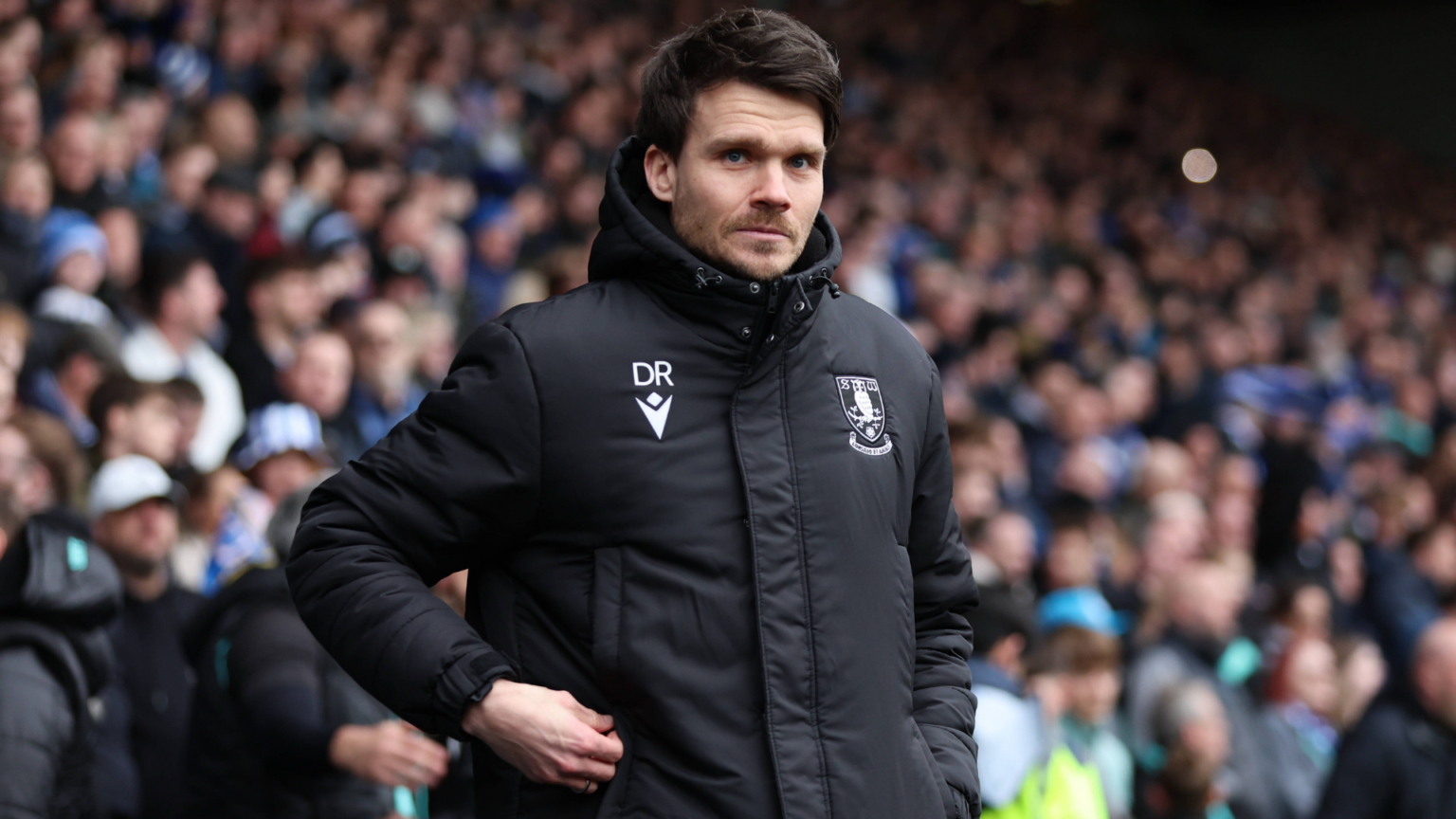 Sheffield Wednesday next manager: Ex-Tottenham ace in running amid ...