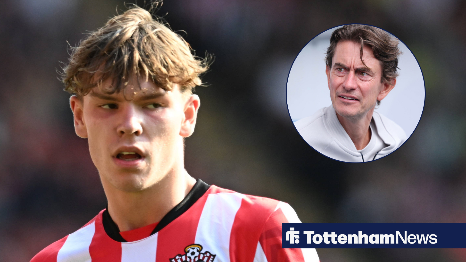 Tottenham know what to do after Southampton response to Dibling bid